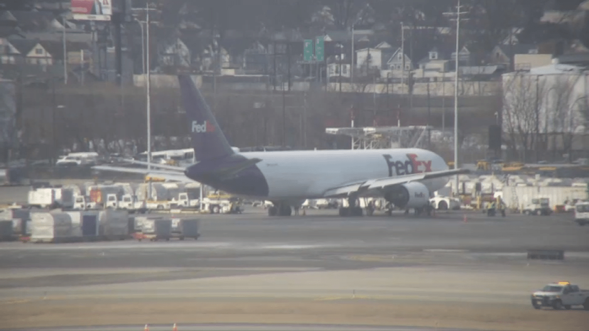 Newark plane bird strike: FedEx cargo lands safety following engine ...