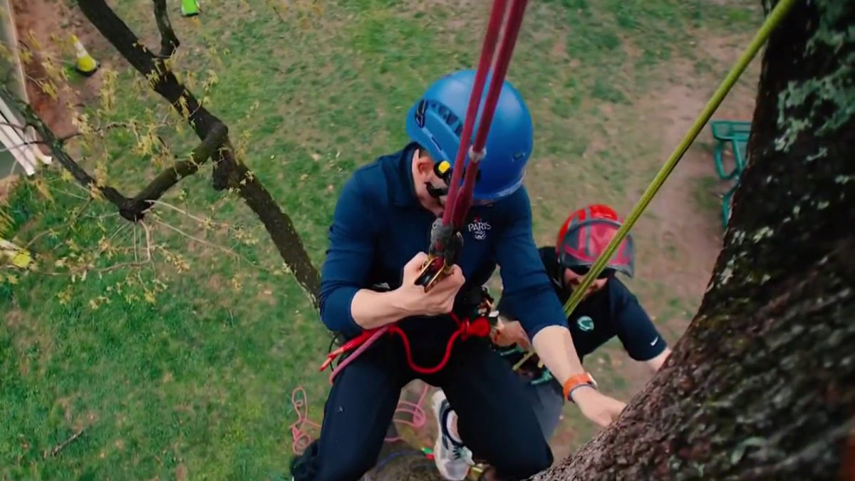 Explore tree-climbing classes with Montgomery Parks – NBC4 Washington