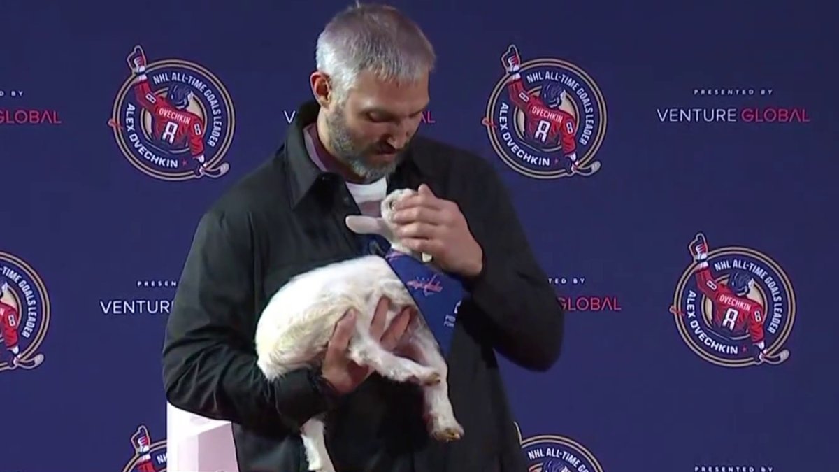 Caps honor Ovechkin with event fit for a GOAT – NBC4 Washington