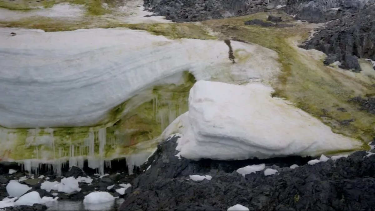 How scientists may have underestimated global warming – NBC4 Washington