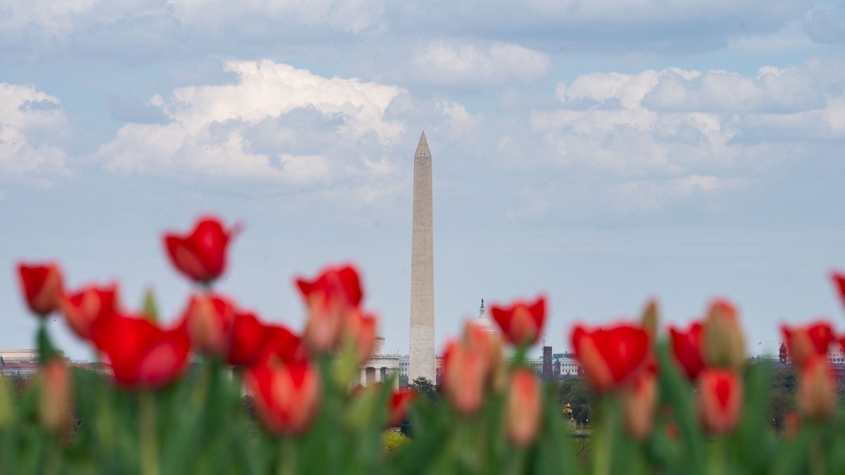 List: What to do in the DC area, April 14-20 – NBC4 Washington