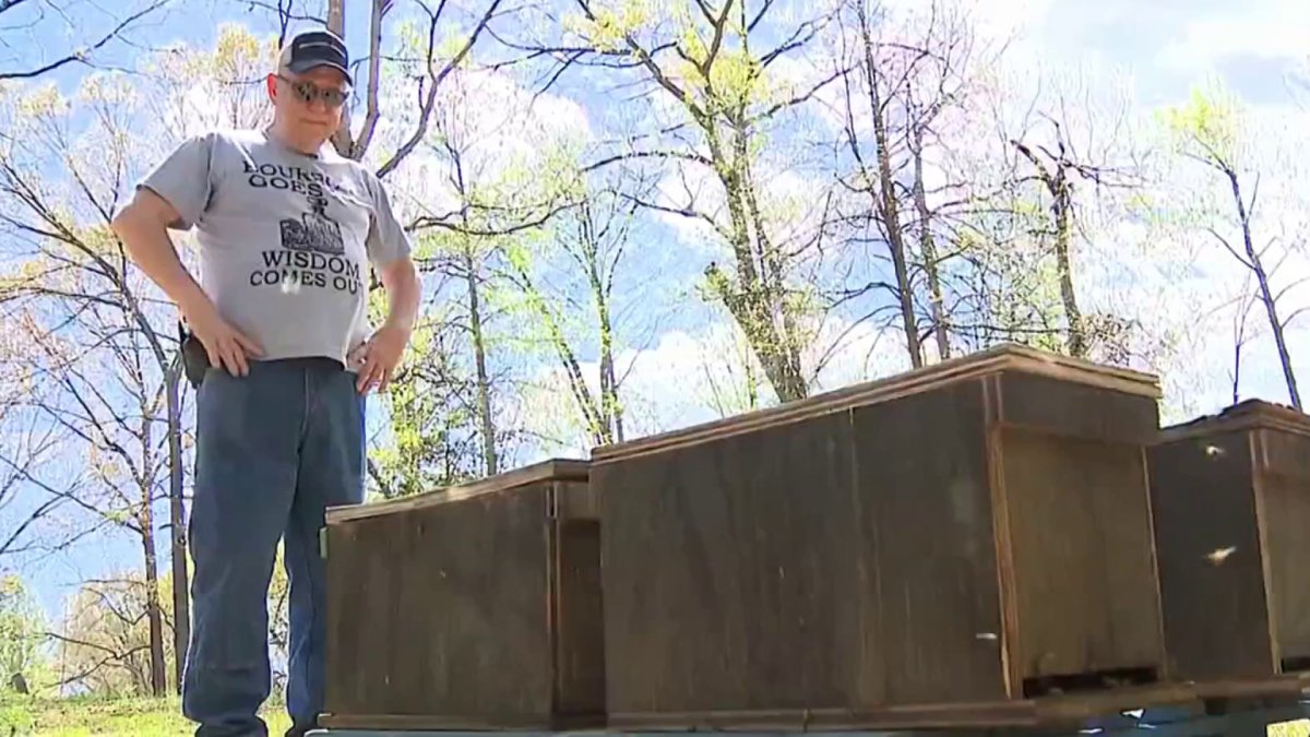 Honeybee farmer estimates $20K in losses from bee poisoning – NBC4 ...