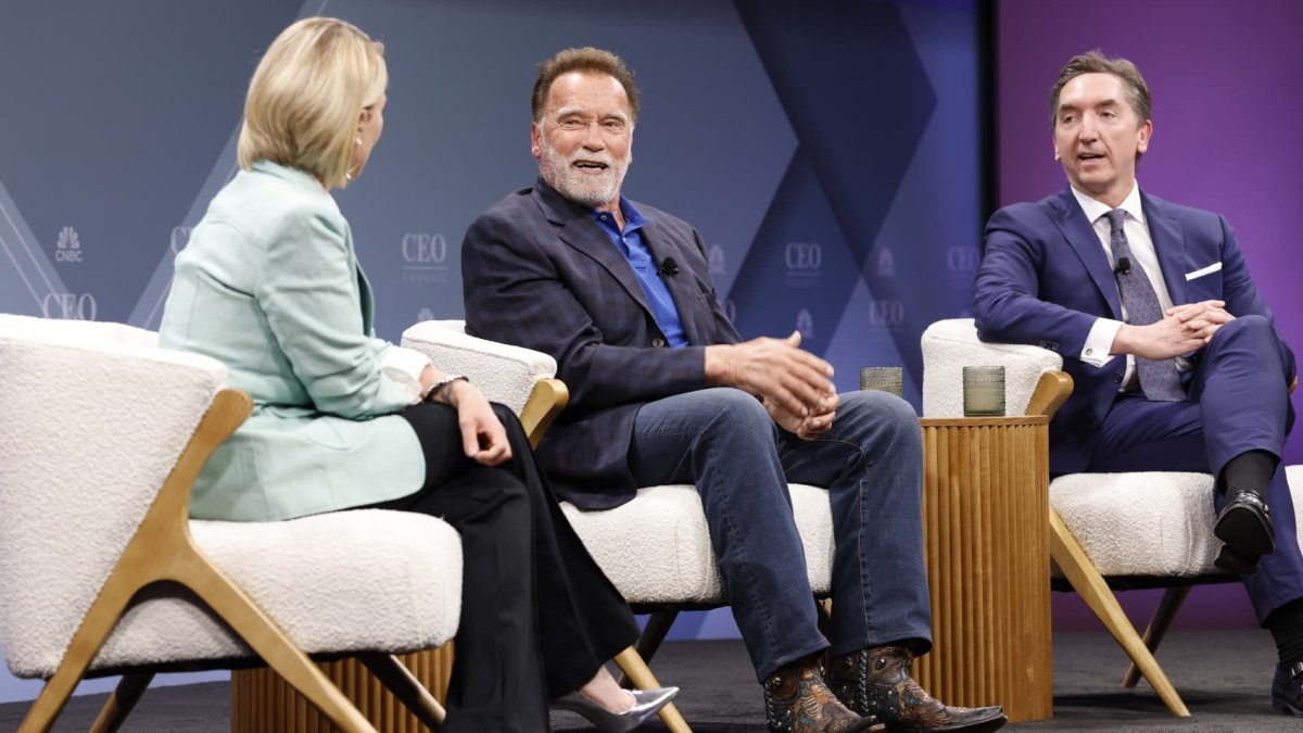 ‘You’ll be back’: Arnold Schwarzenegger on the most important move to ...