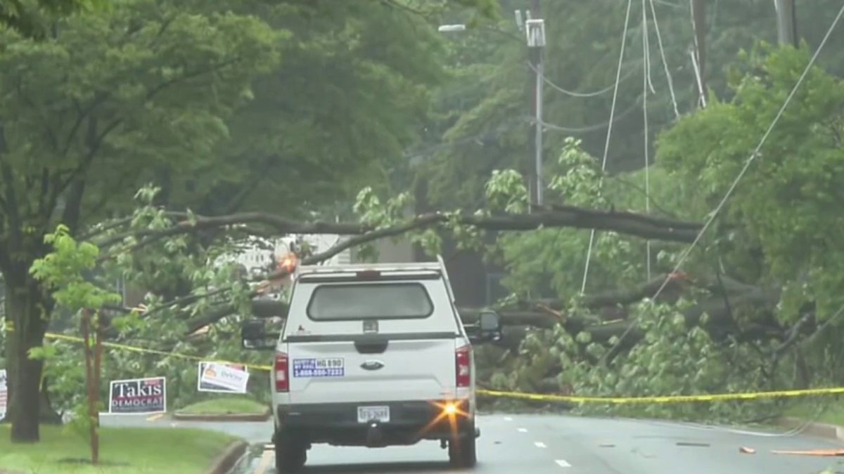 Cleanup starts after trees topple down from heavy rain across DMV ...