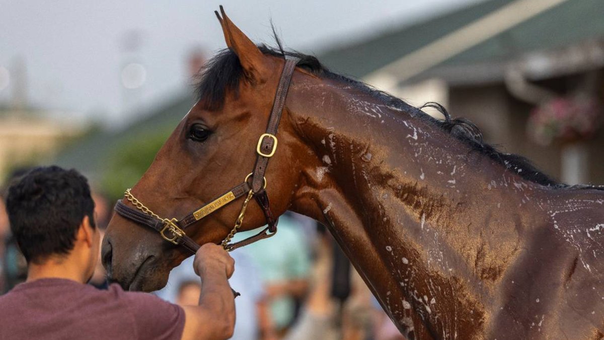 A horse named Journalism? Meet the 2025 Kentucky Derby contender – NBC4 ...