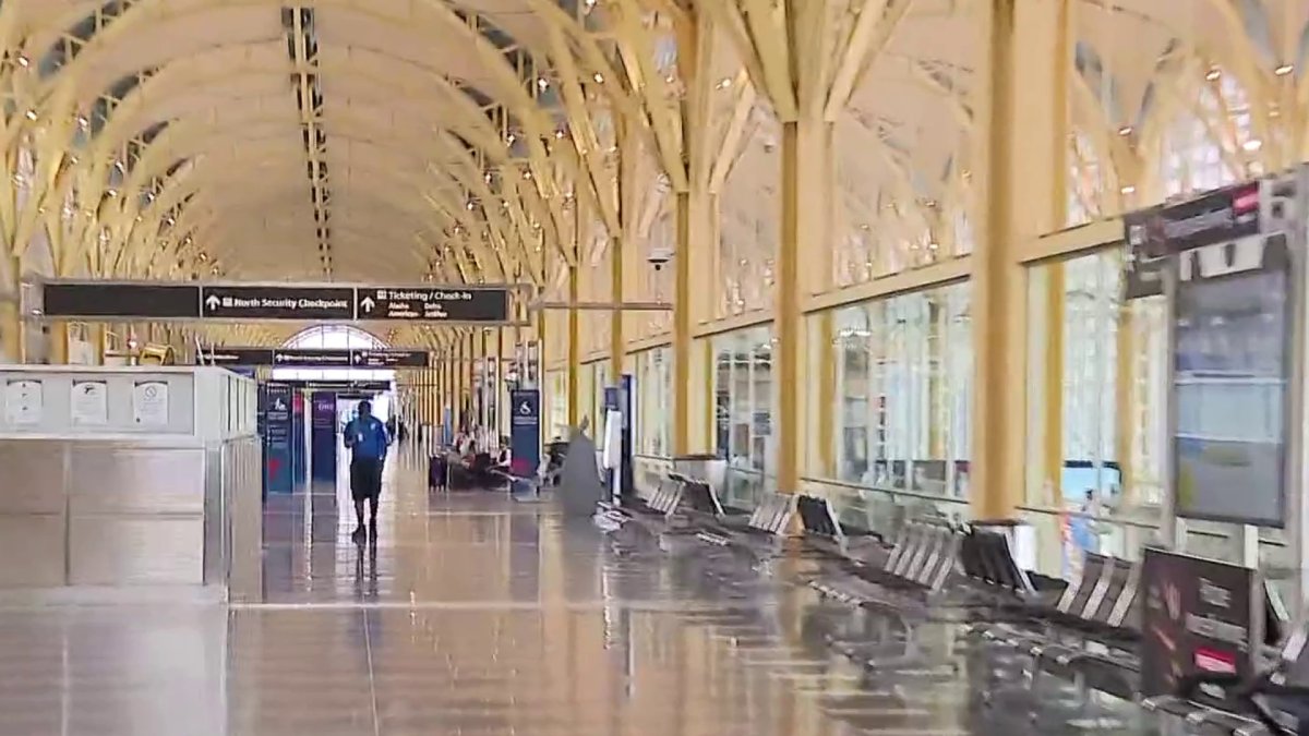 Delays, cancellations come in at DCA as military parade begins – NBC4 ...
