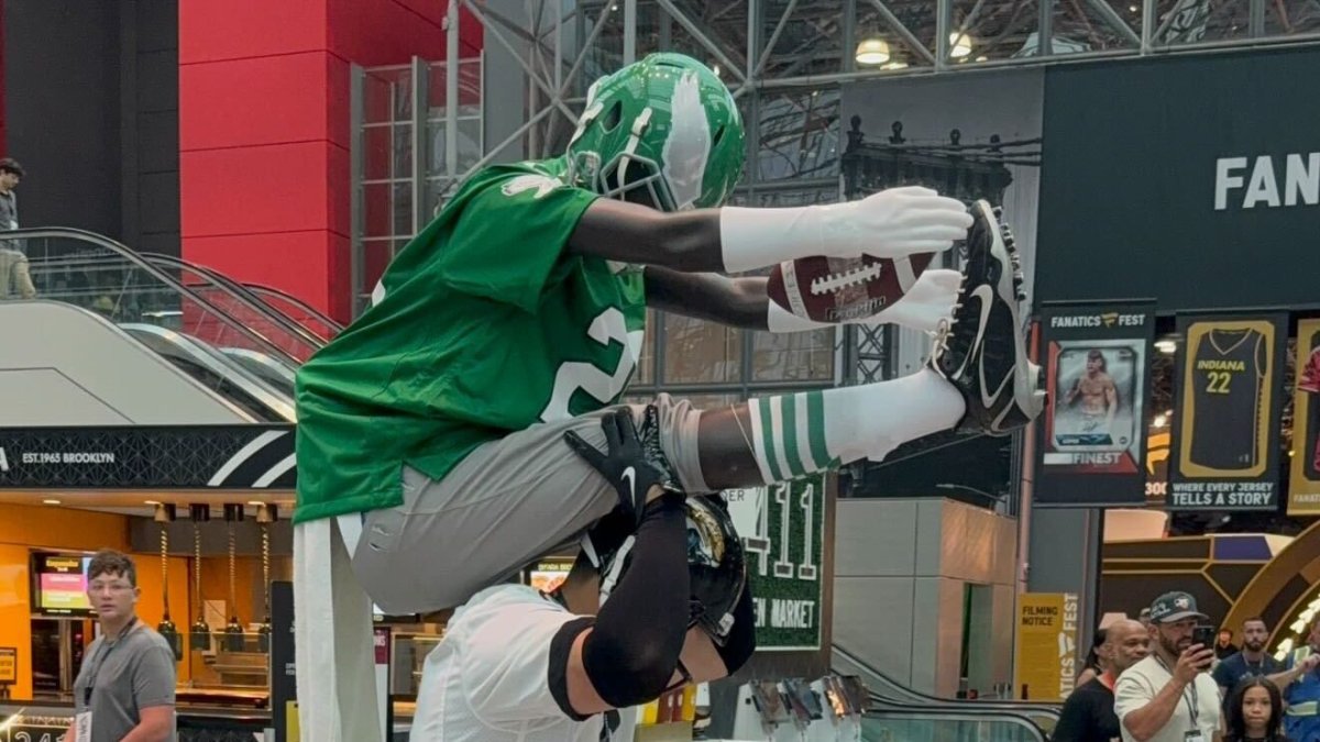 Fan’s Saquon Barkley hurdle costume wins Fanatics Fest contest – NBC4 ...