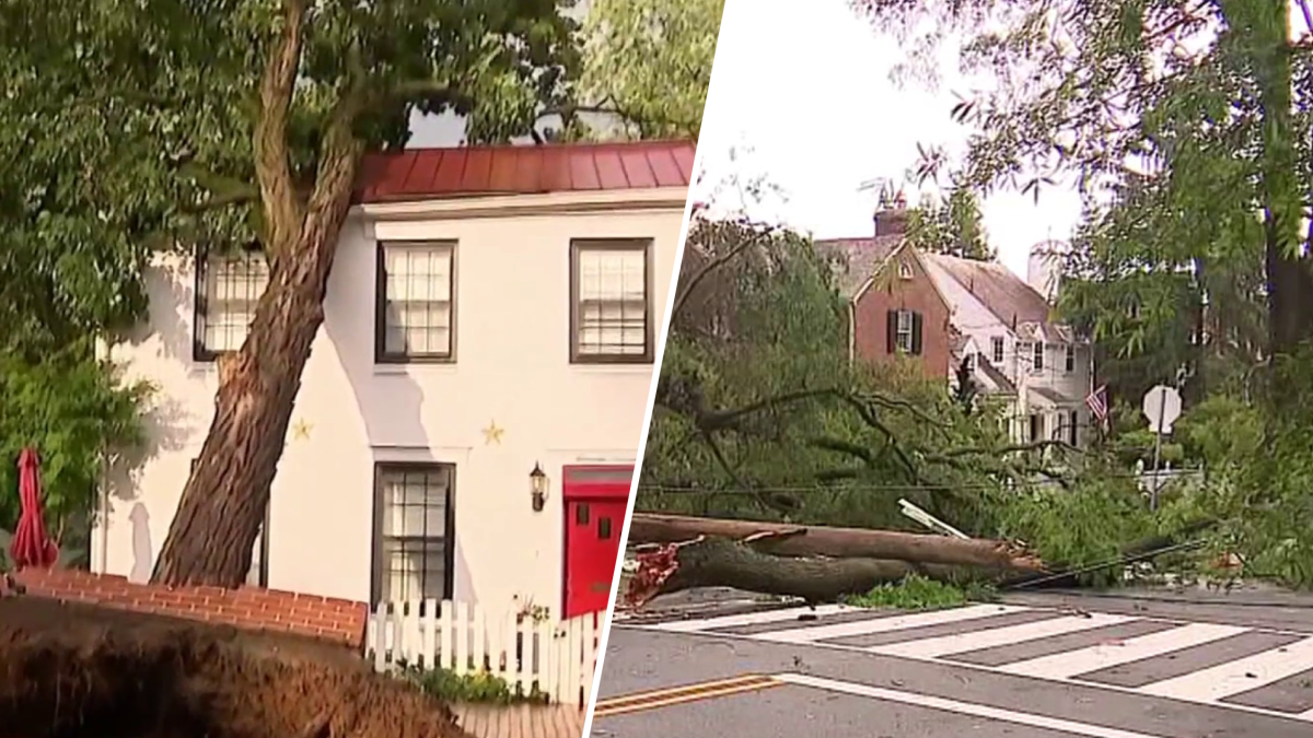 Storms topple trees and electric wires in DC area – NBC4 Washington