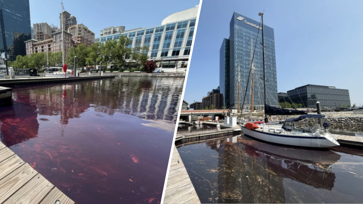 Crews cleaning up 2,000-gallon fuel spill in Baltimore’s harbor – NBC4 ...