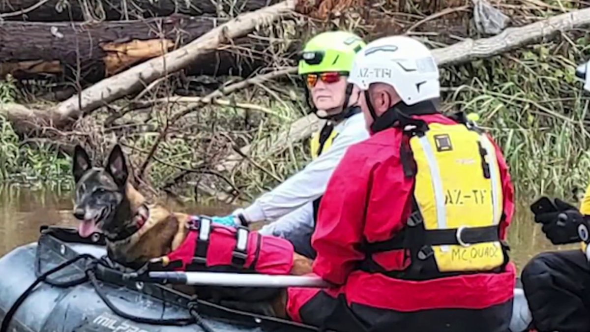 Virginia Task Force 1 returns from Texas rescue mission – NBC4 Washington