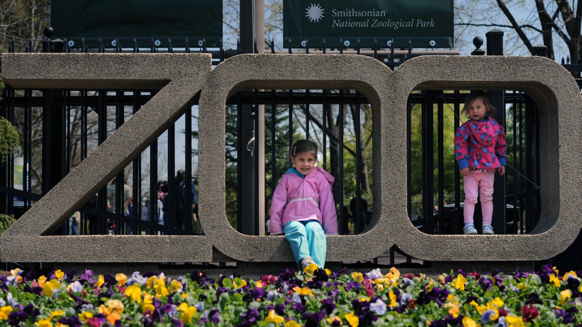 Take this week’s News4 Quiz: July 11, 2025 – NBC4 Washington