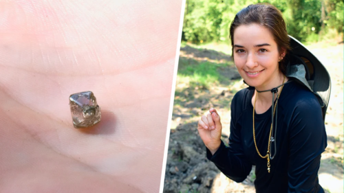 New Yorker finds diamond in the rough at Arkansas state park – NBC4 ...