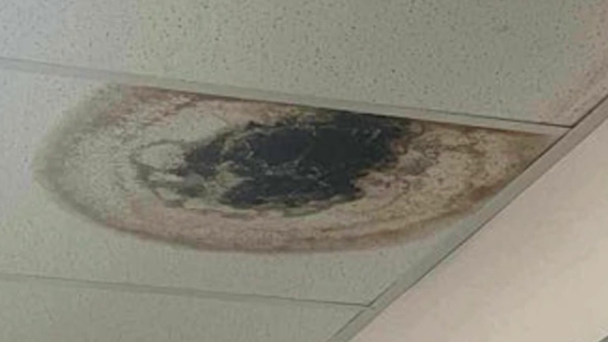 Parents, teachers worry mold is making Fairfax County students sick ...