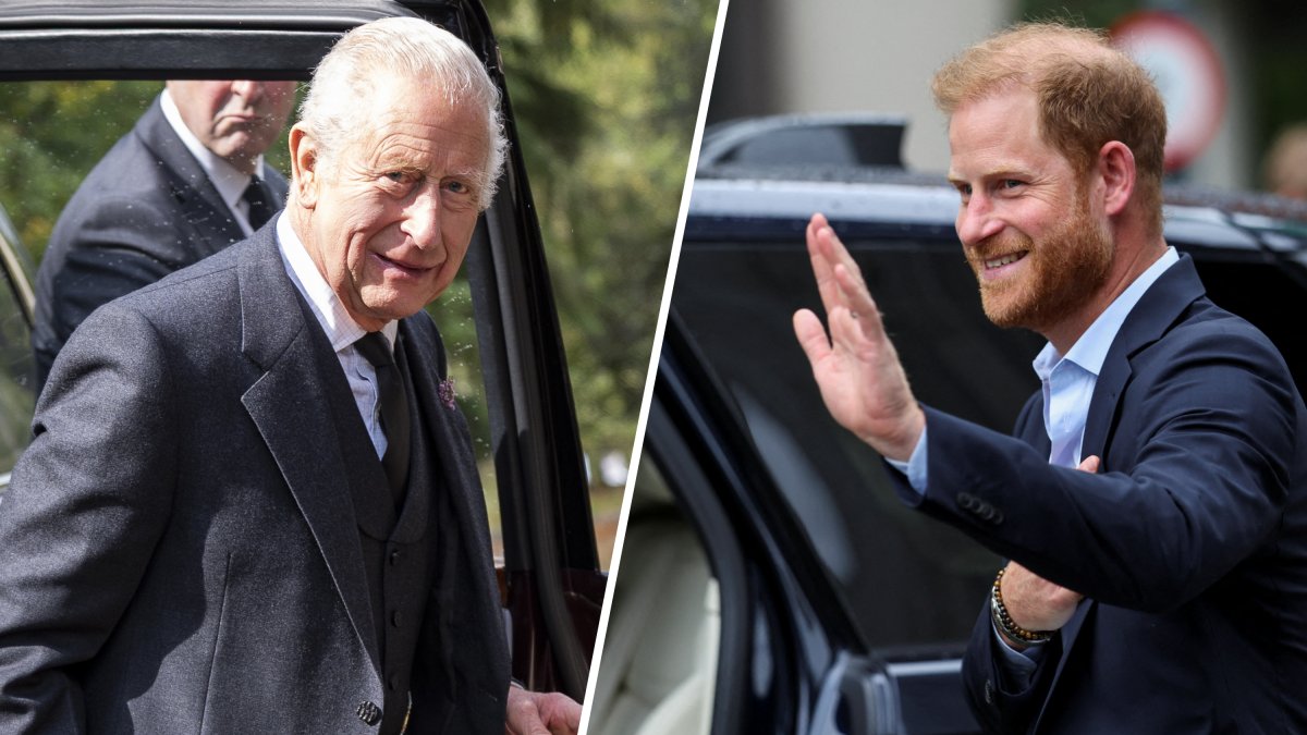 King Charles and Prince Harry met for first time in more than a year ...