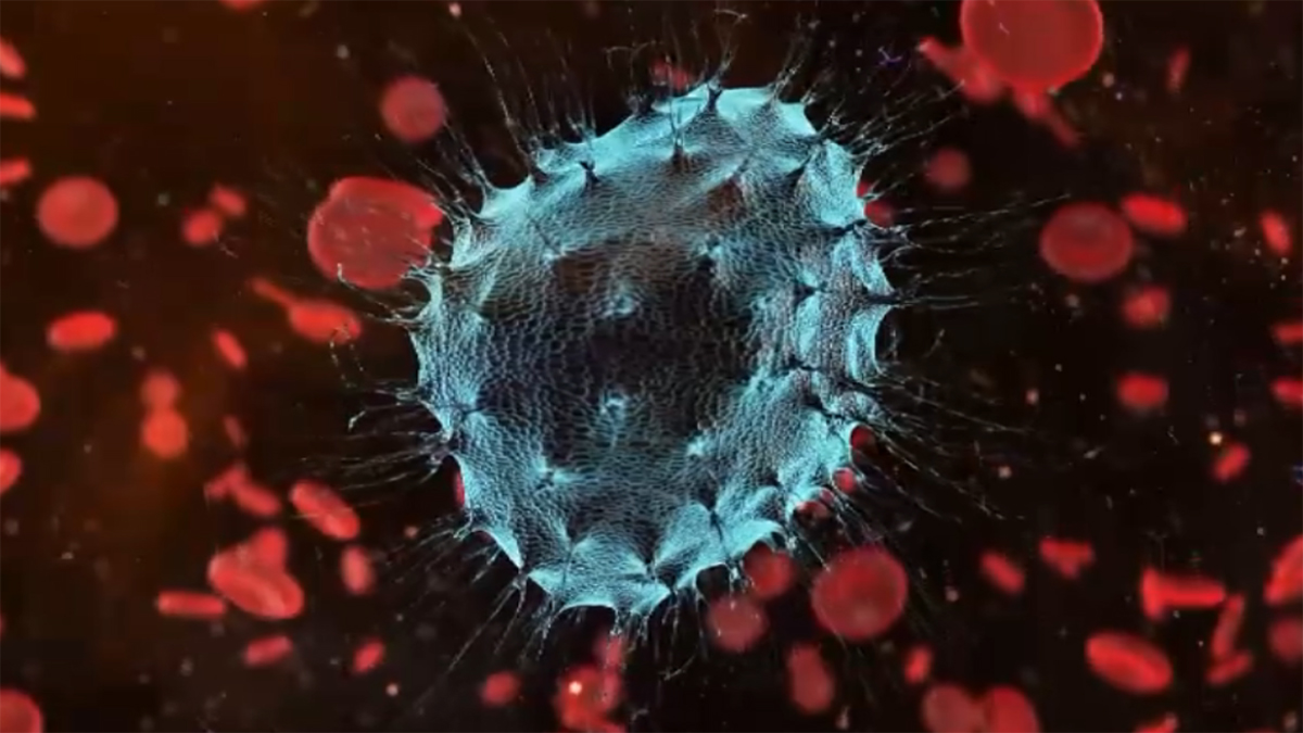 Prostate cancer resources in DC and beyond – NBC4 Washington