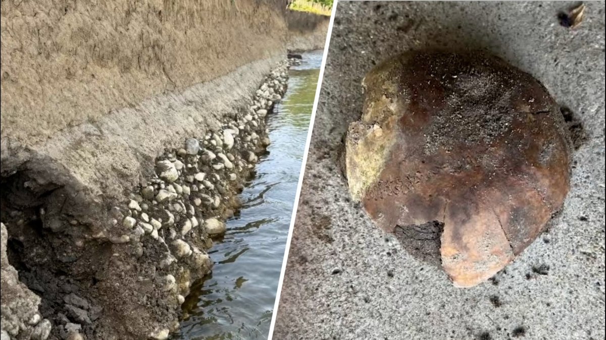 4,000-year-old human skull found in Indiana river – NBC4 Washington