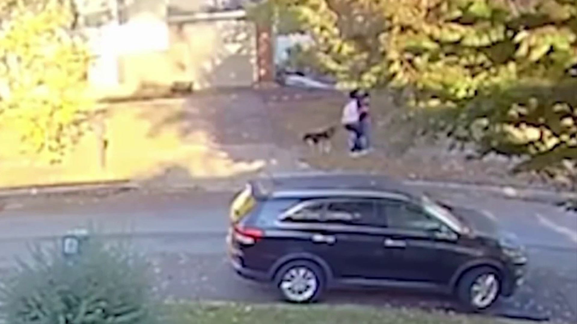 Video shows officer drop gun then appear to point it during apparent ...