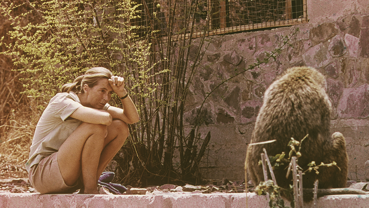 Jane Goodall, world-renowned primatologist and conservationist, dies at ...