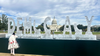 Melting ‘Democracy’ ice sculpture displayed on National Mall – NBC4 ...