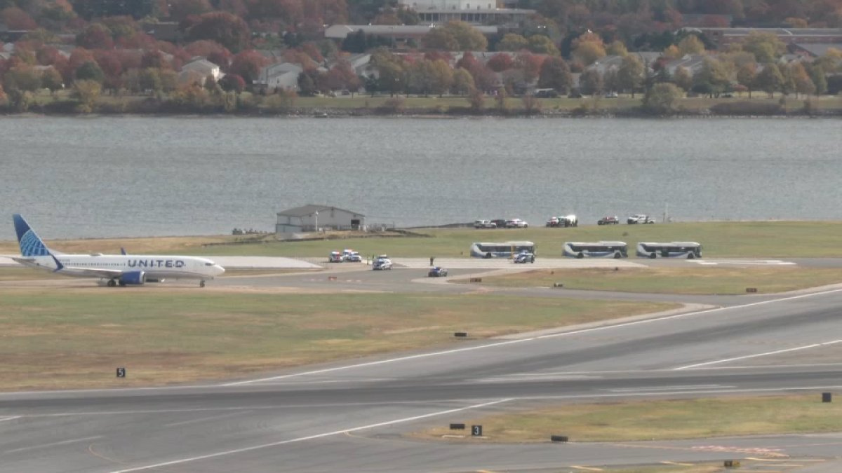 Security threat leads to ground stop at Reagan National Airport – NBC4 ...