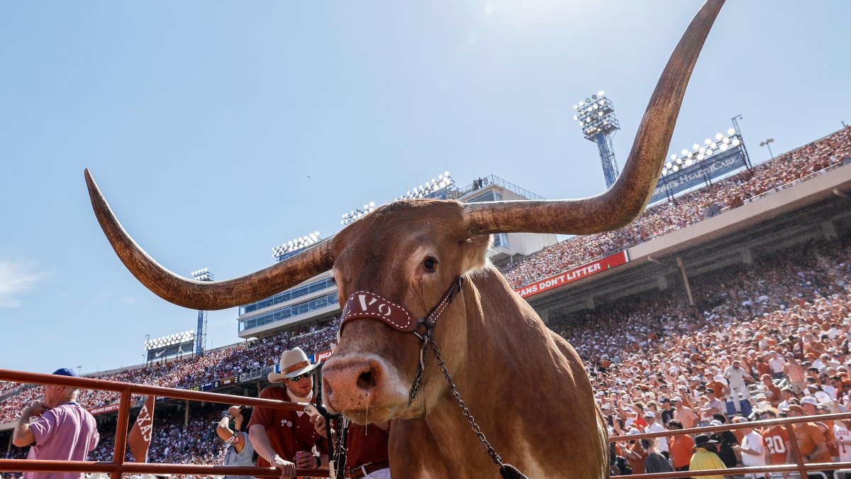 Live animals as college football mascots — beloved or outdated? – NBC4 ...