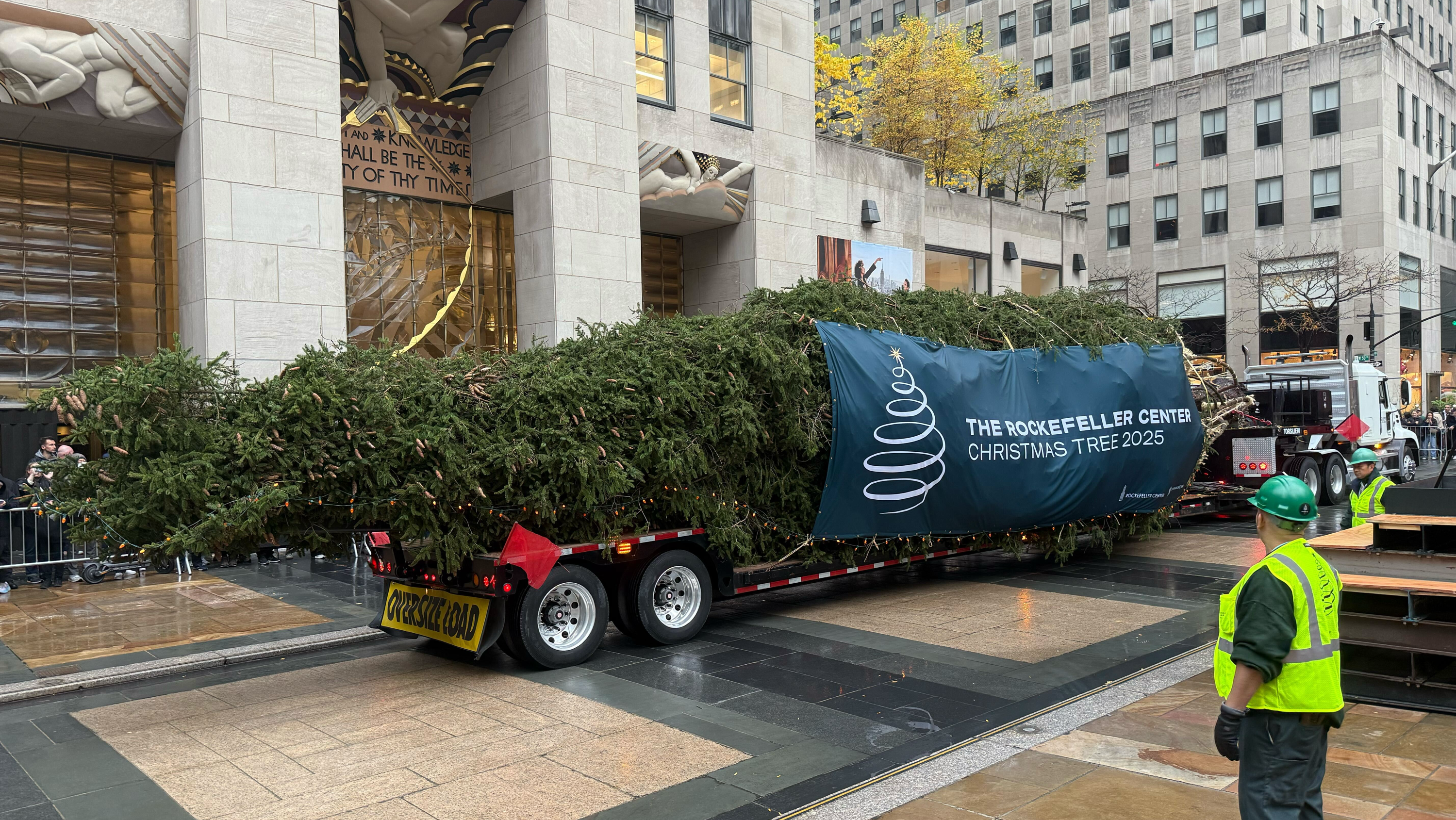 Rockefeller Center Christmas tree arrives in New York City – NBC4 ...