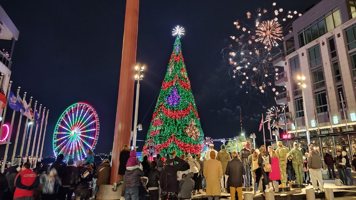 Explore these 17 dazzling holiday lights displays in the DC area – NBC4 ...
