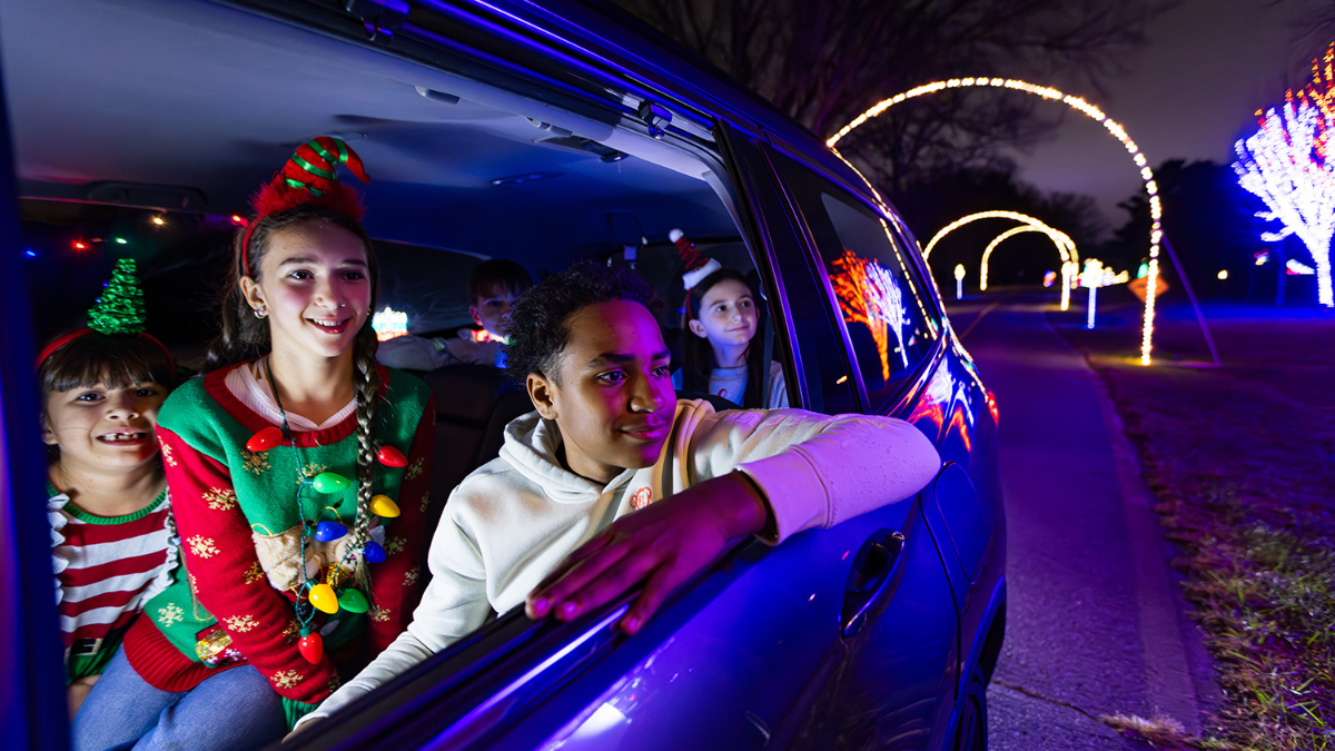 Explore these 17 dazzling holiday lights displays in the DC area – NBC4 ...