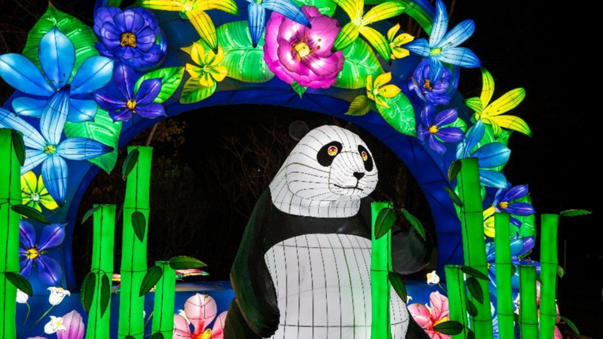 Explore these 17 dazzling holiday lights displays in the DC area – NBC4 ...