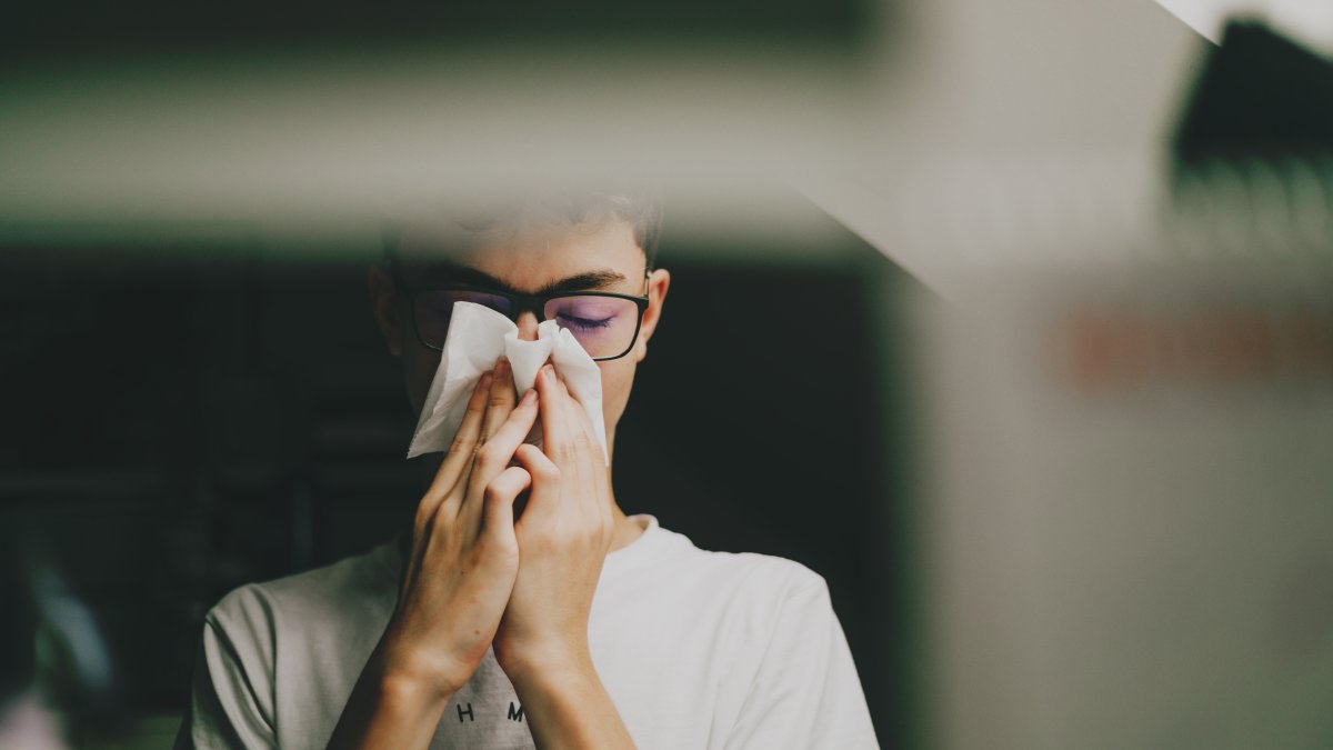 What’s the difference between flu A and flu B? – NBC4 Washington