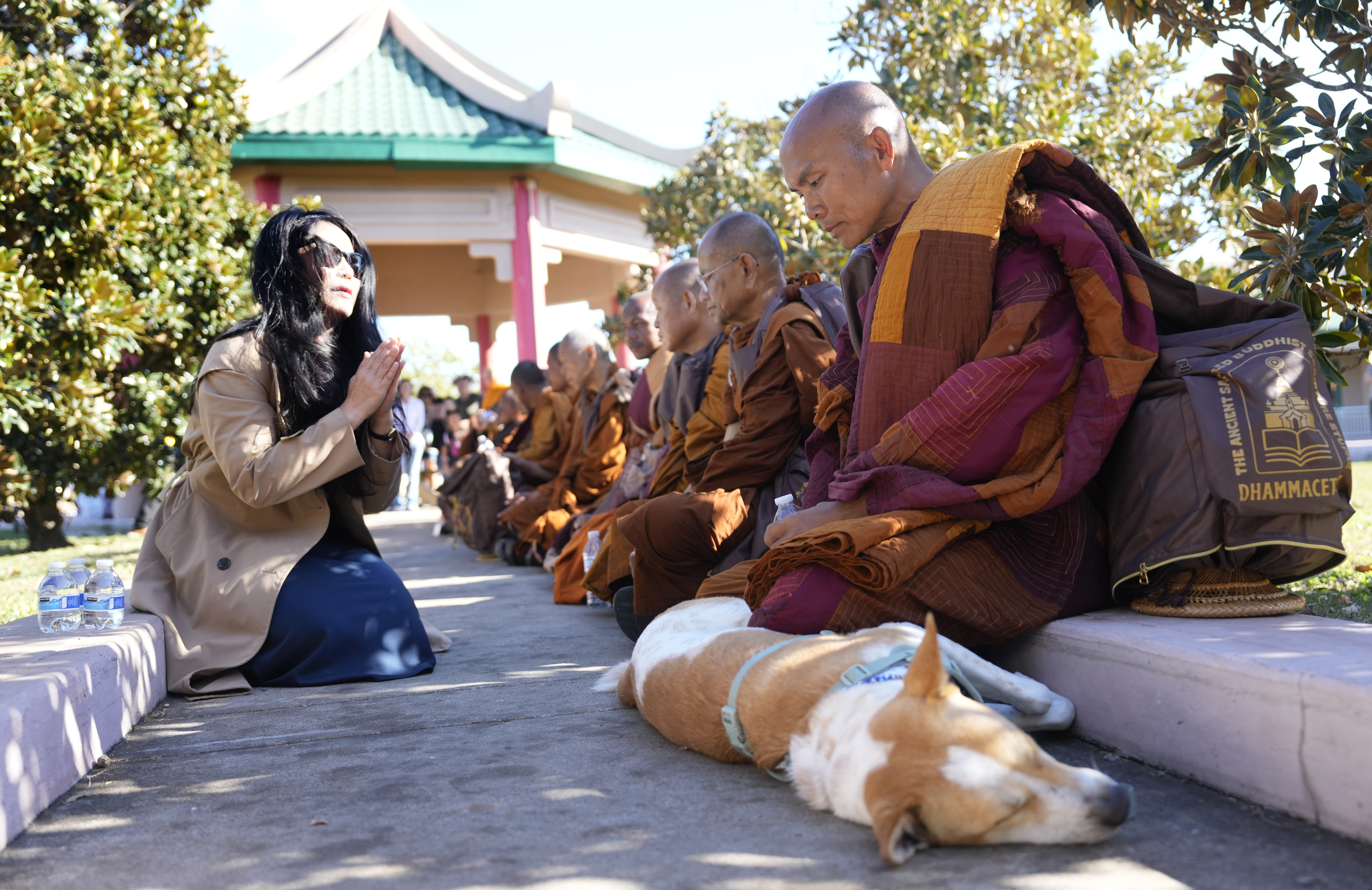 Buddhist monks persist in peace walk to Washington D.C. – NBC4 Washington