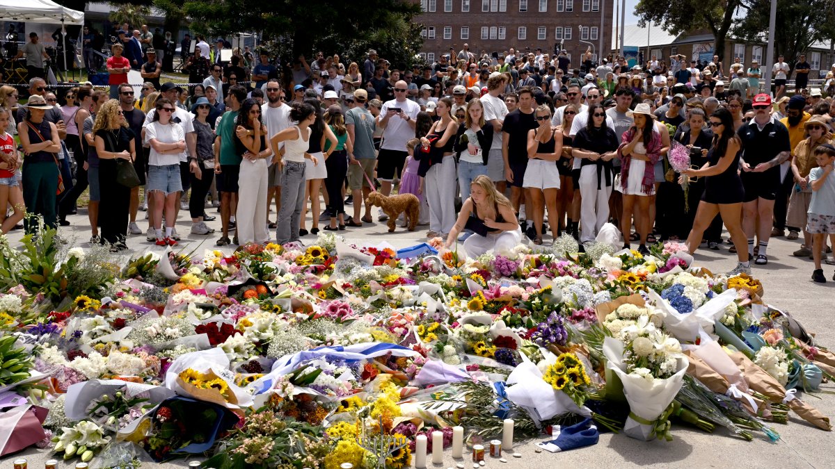 Australia to tighten gun laws after Hanukkah massacre at Bondi Beach ...