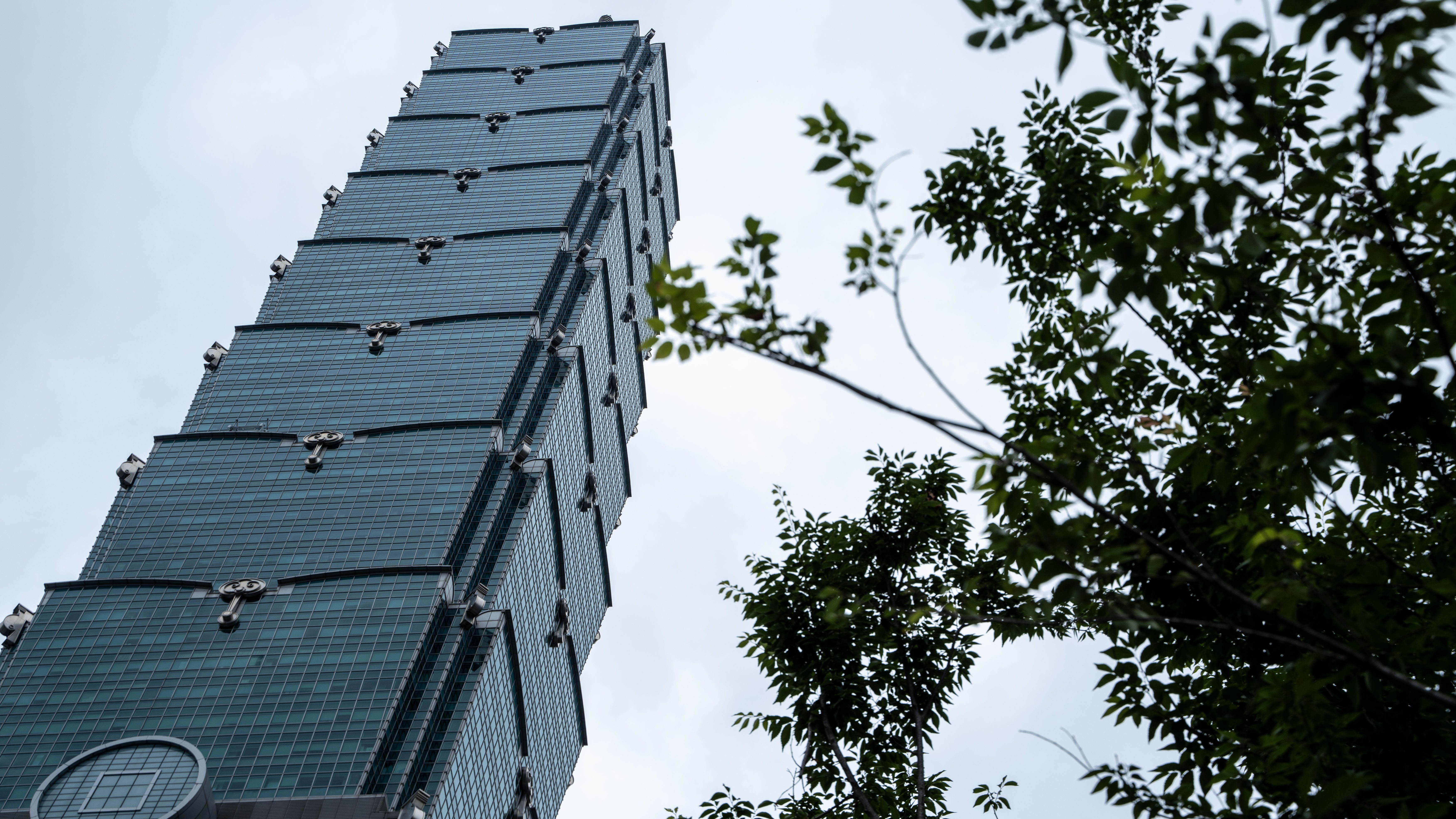 Alex Honnold to climb Taipei 101 with no ropes, live on TV – NBC4 ...