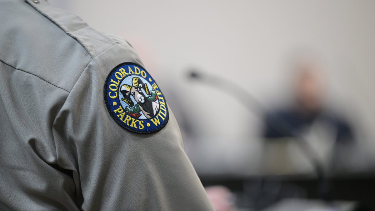 Woman killed in suspected mountain lion attack in Colorado – NBC4 ...