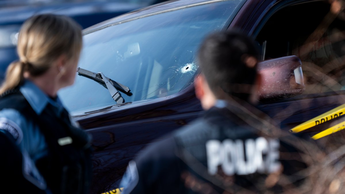 ICE officer who killed Minnesota woman was once dragged by car – NBC4 ...