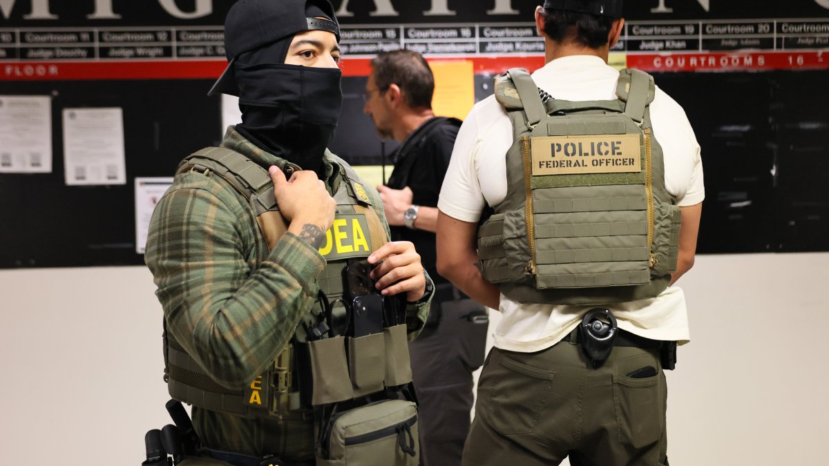 Judge bans most federal arrests in immigration courts in New York ...
