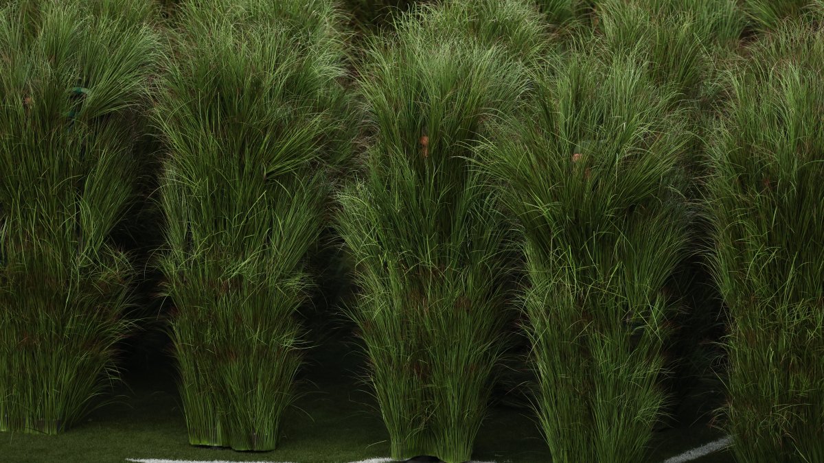 Super Bowl halftime show sugarcane grass costumes show up on eBay ...