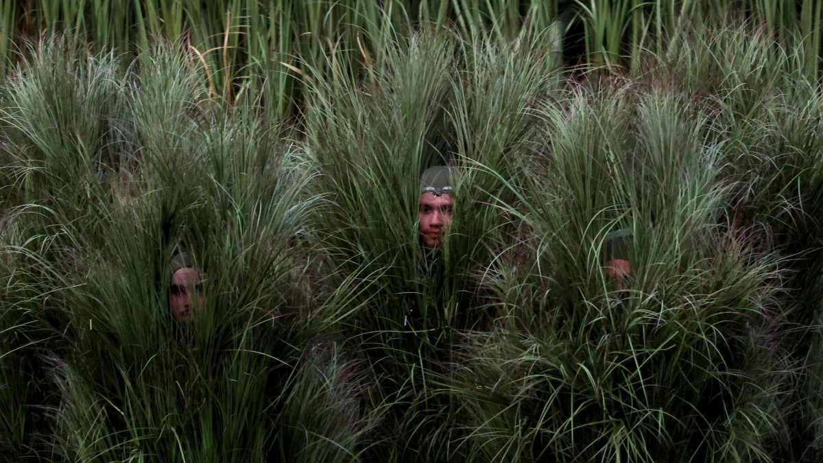 What it was like to be a bush at Bad Bunny’s Super Bowl performance ...
