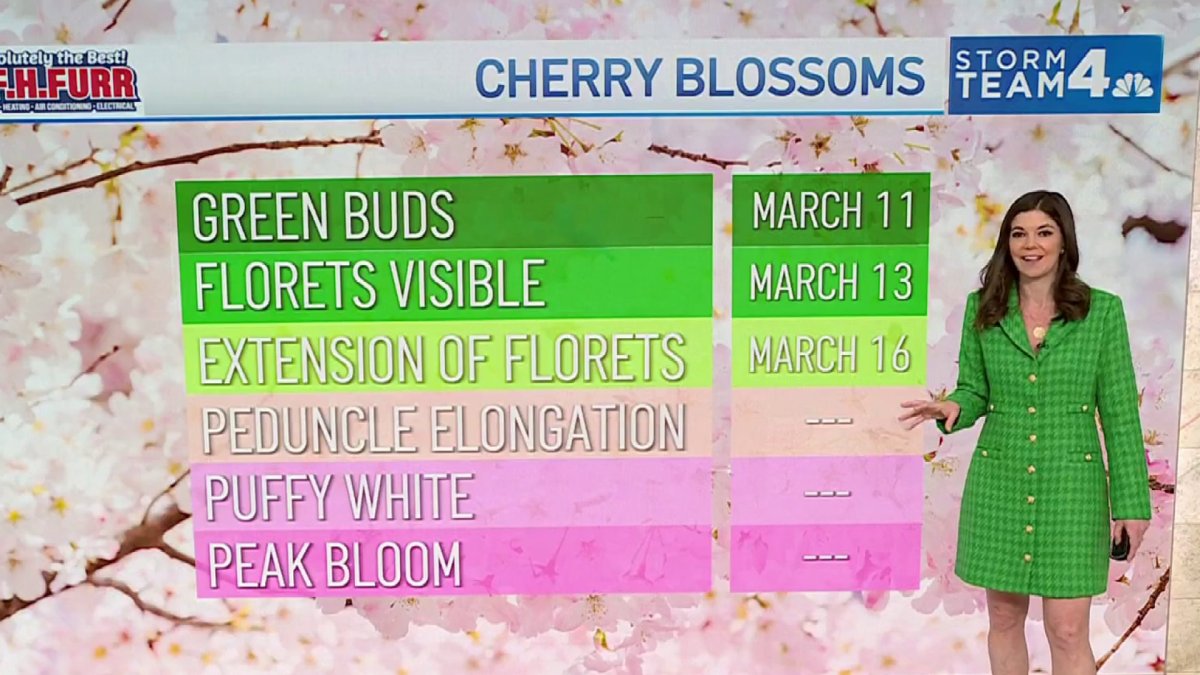 Storm Team4 midday forecast, March 17 – NBC4 Washington