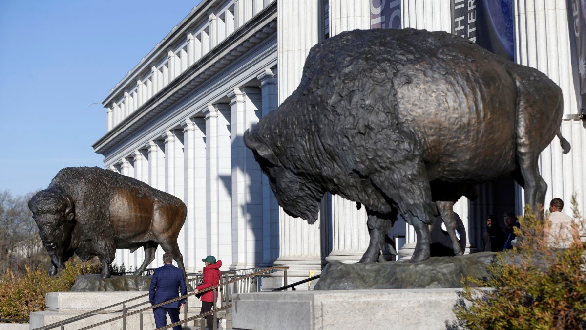 Bison gets bronze tribute for USA’s 250th birthday – NBC4 Washington