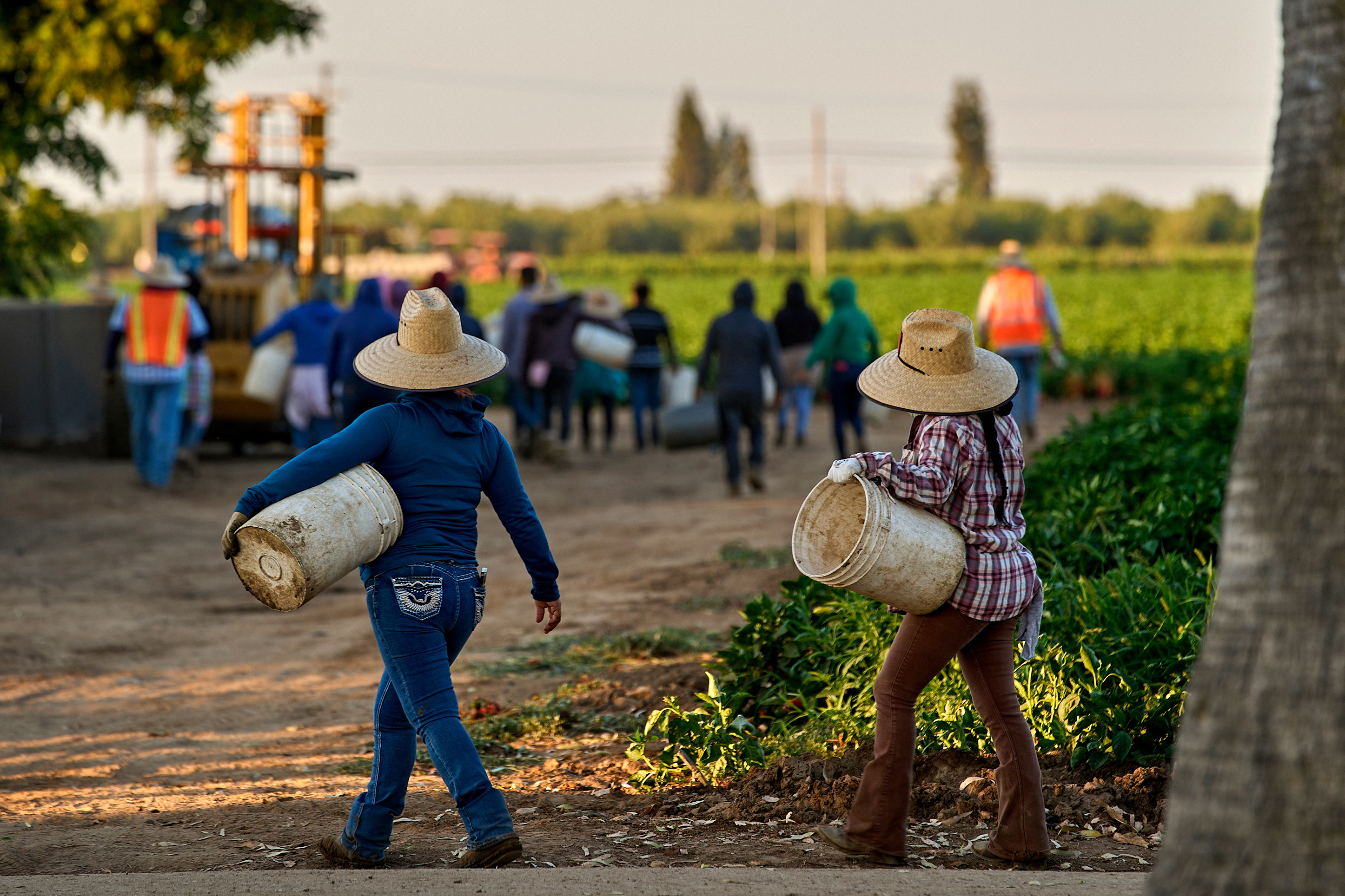 Women farmworkers grapple with Chavez allegations – NBC4 Washington
