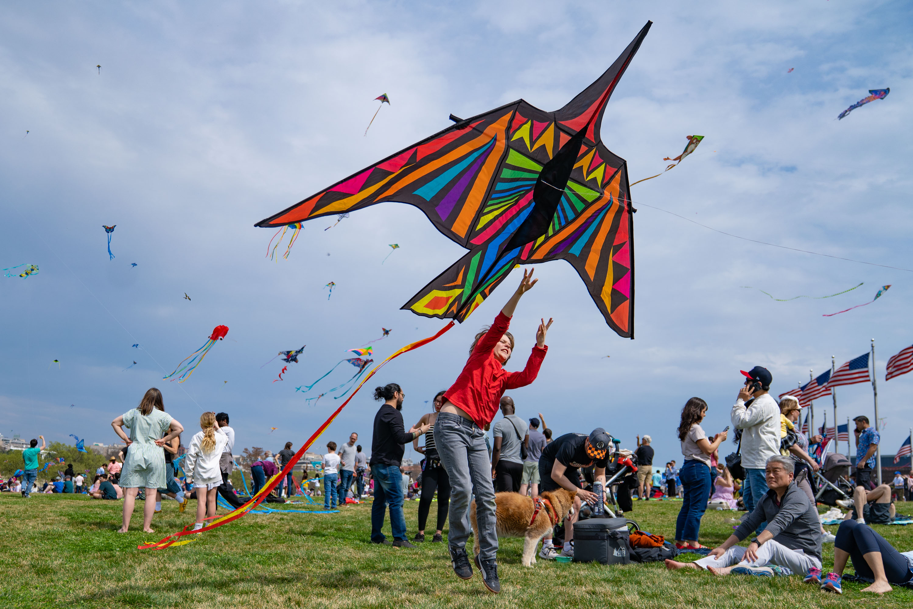 Cherry Blossom Festival 2026 schedule: kites, fireworks and more – NBC4 ...