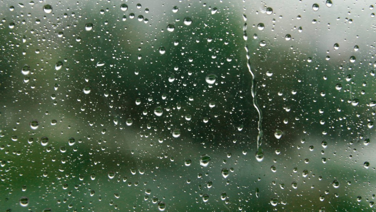 NBC4 Forecast: Dry, comfy until heat, storms close out workweek – NBC4 ...