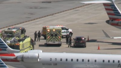 Service dog’s in-flight ‘accident’ prompts emergency response at DCA ...