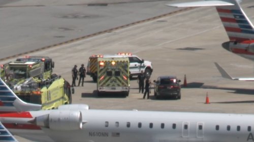 Service dog’s in-flight ‘accident’ prompts emergency response at DCA ...