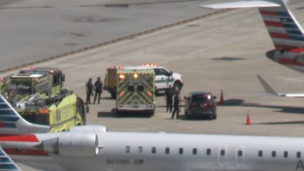 Service dog’s in-flight ‘accident’ prompts emergency response at DCA ...