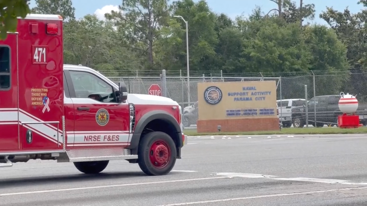 Chilling shark attack at Florida Navy base caught on camera – NBC4 ...
