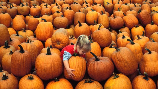 Washington DC News, Maryland News, Virginia News, Local News, Weather ...