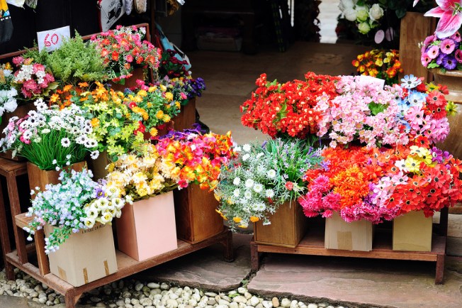 Baltimore Flower Mart History | Best Flower Site